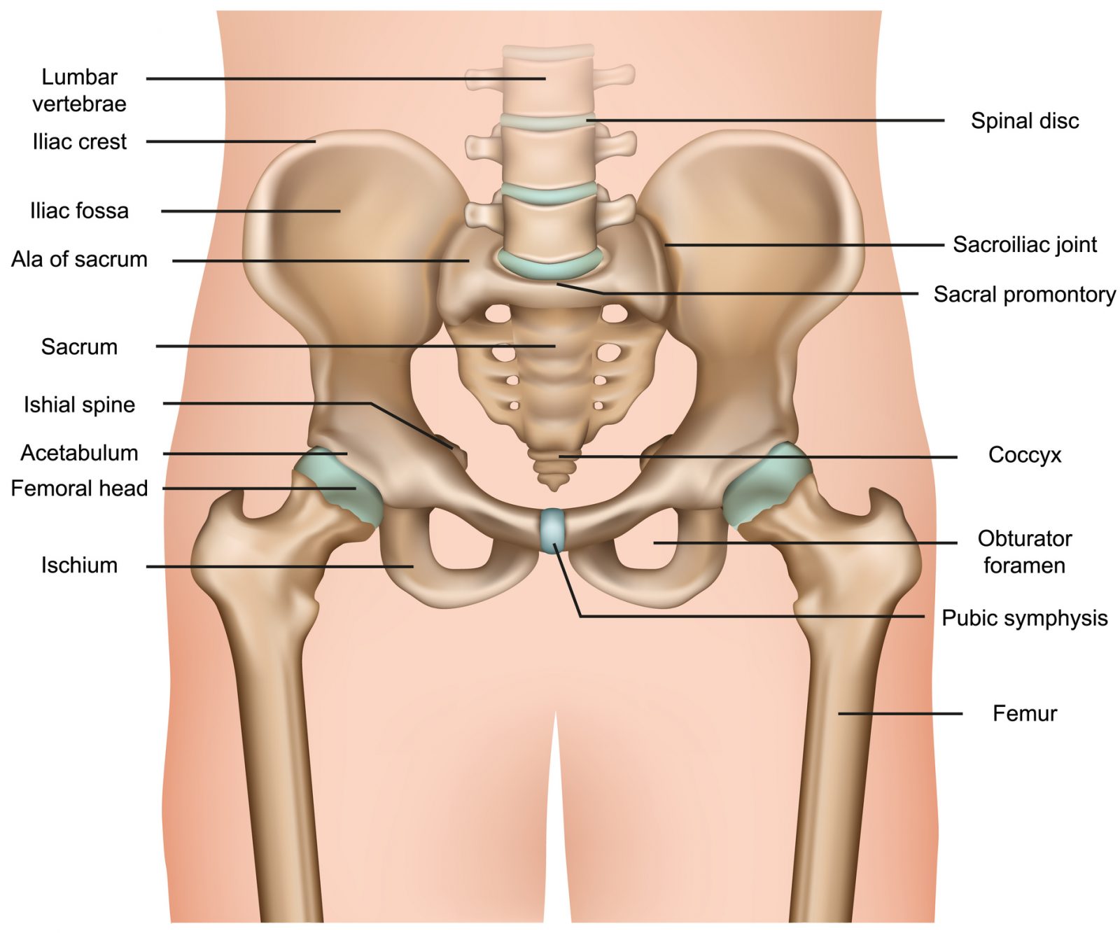 Hip Replacement Surgery Central Coast Dr Simon Hutabarat Hip Replacement Surgery Central Coast Dr Simon Hutabarat