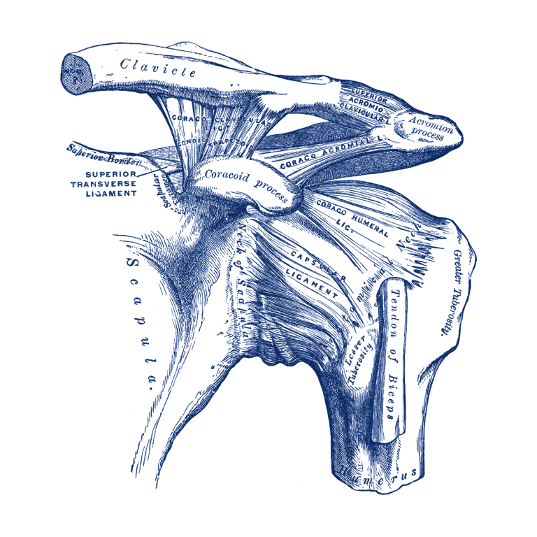 Rotator Cuff Disease | Central Coast | Dr Simon Hutabarat